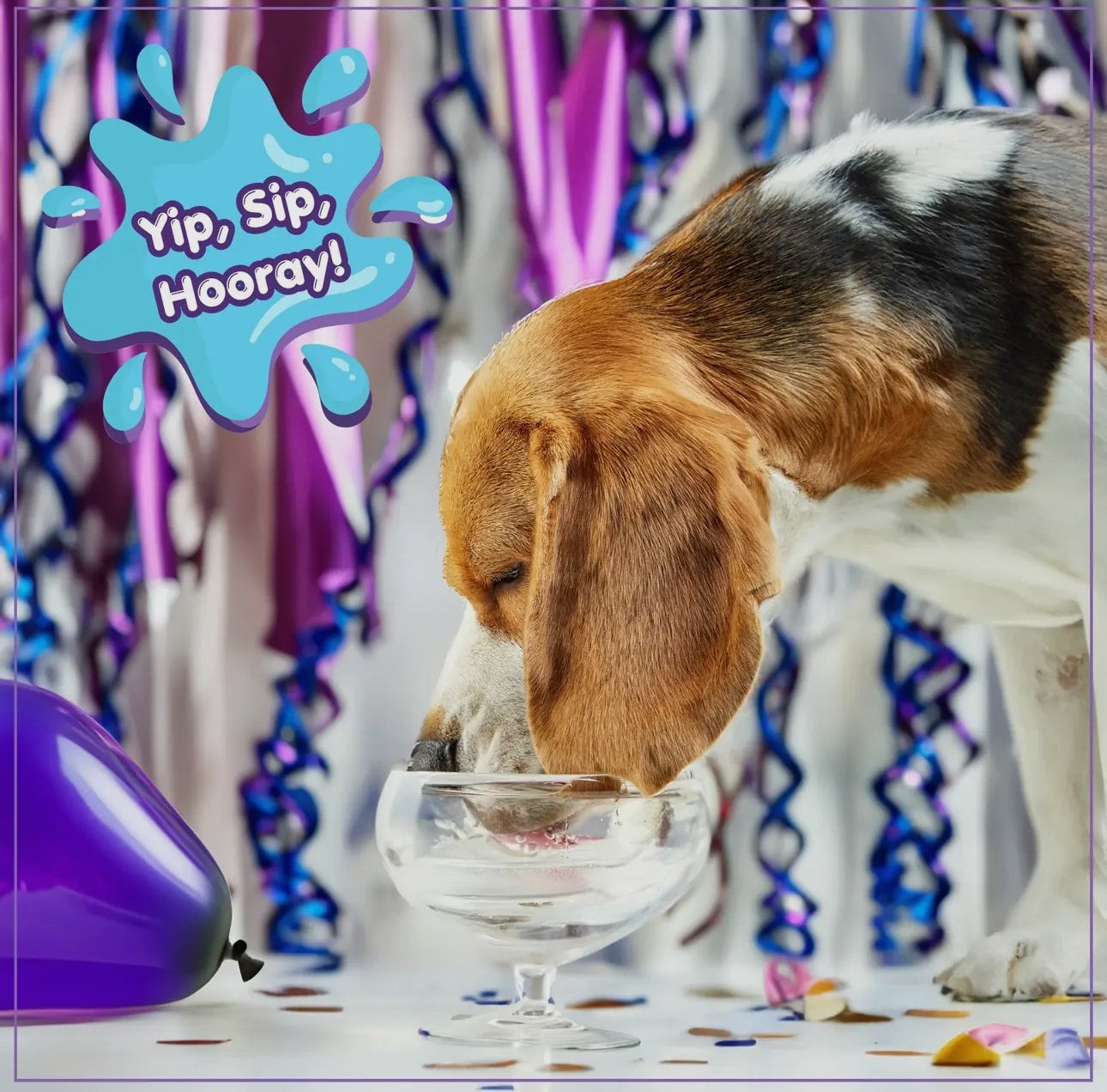 Pup-Pop Birthday Water | Love & a Dog
